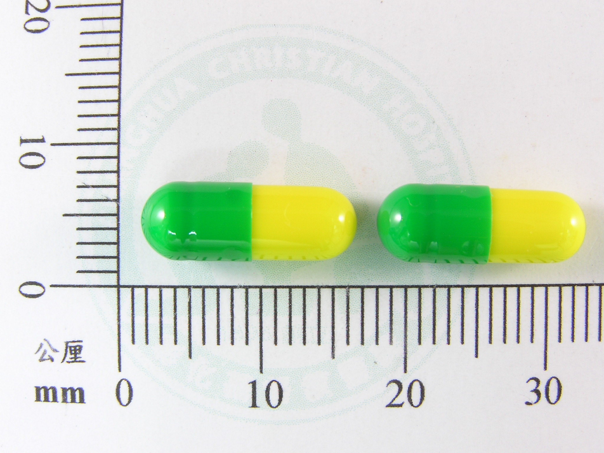 彰基藥品辨識系統 - 列印畫面